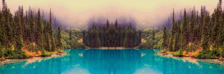 Engaging Audiences: The Power of Interactive Content in Digital ...