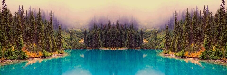 Engaging Audiences: The Power of Interactive Content in Digital ...